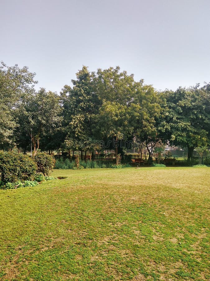 Beautiful Environment Picture with Beautiful Tree Stock Photo - Image ...