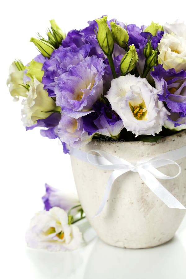 Beautiful Eustoma Flowers Bouquet Stock Image - Image of beautiful ...