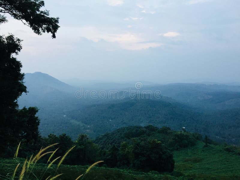 Beautiful Evening on Forest Side Stock Image - Image of evening, leaves ...