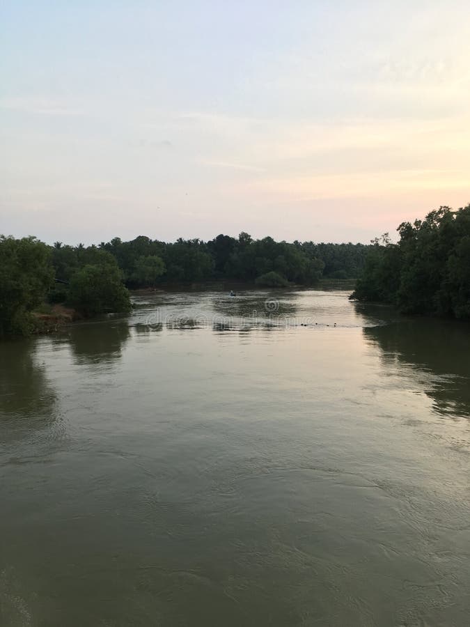 Beautiful Evening on Forest Side Stock Photo - Image of leaves, river ...