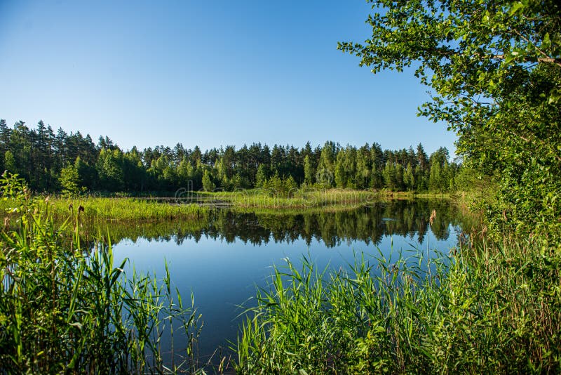Beautiful Evening by the Lake with Sun in the Trees Stock Image - Image ...