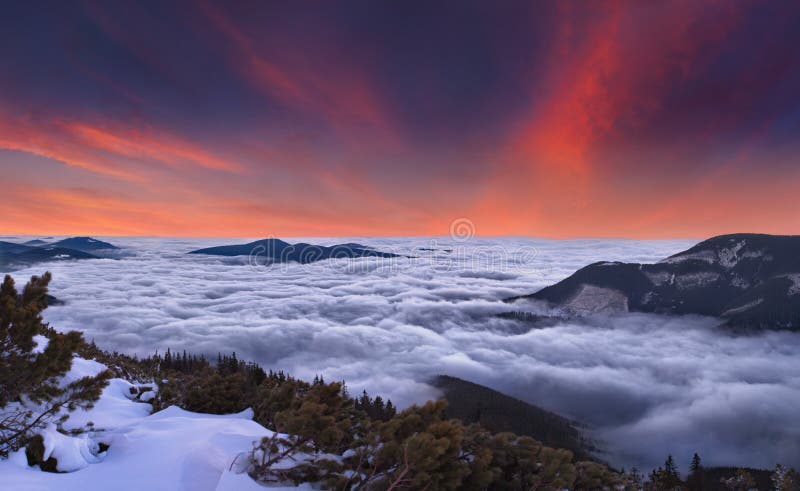 Beautiful Evening Landscape Stock Photo - Image of evening, background ...