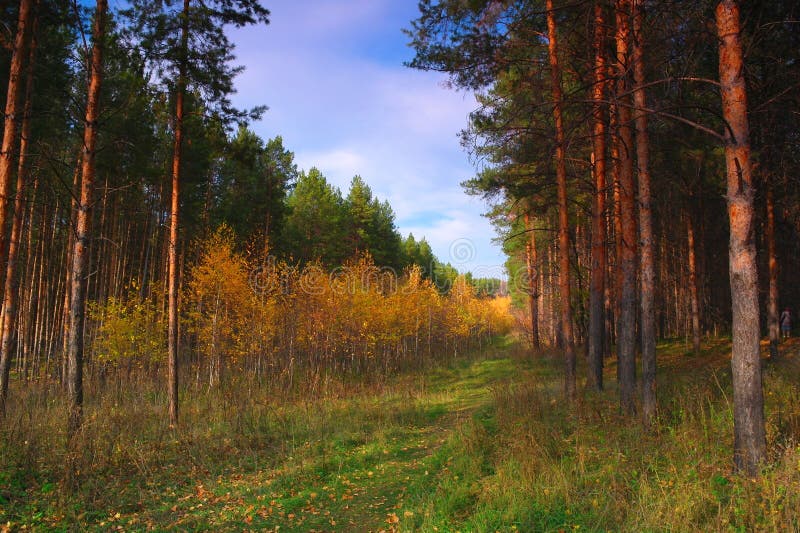 Beautiful Evening Landscape Stock Photo - Image of natural, landscape ...