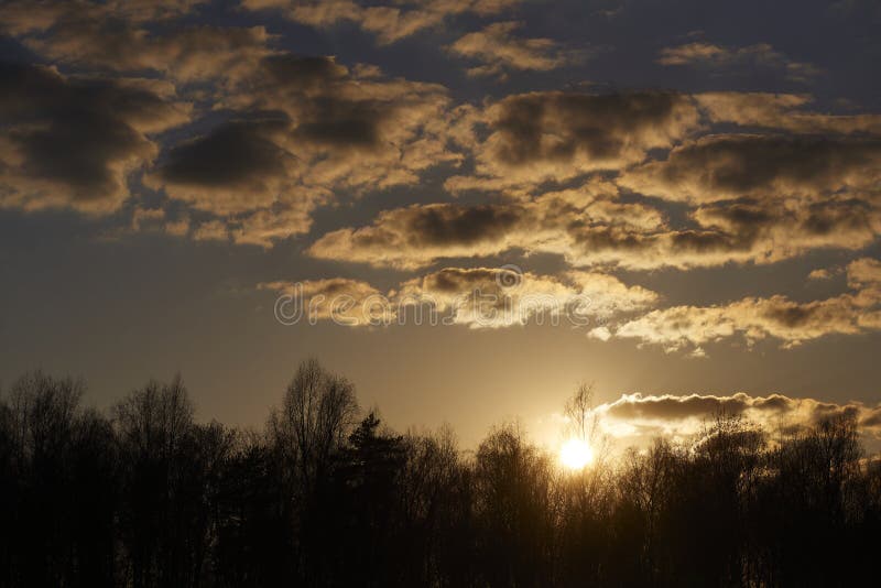 Beautiful Evening Landscape with the Setting Sun, Trees and Clouds ...