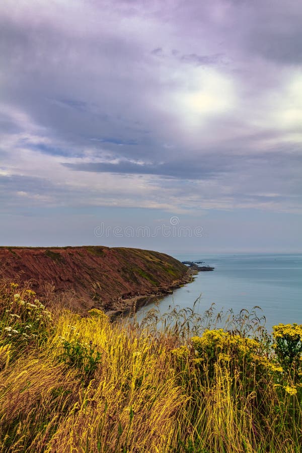 Cliffs at Filey bay stock image. Image of shot, coast - 124438981