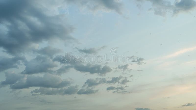 Beautiful Evening Sky with Flying Small Insects and Sunset Rays on the ...