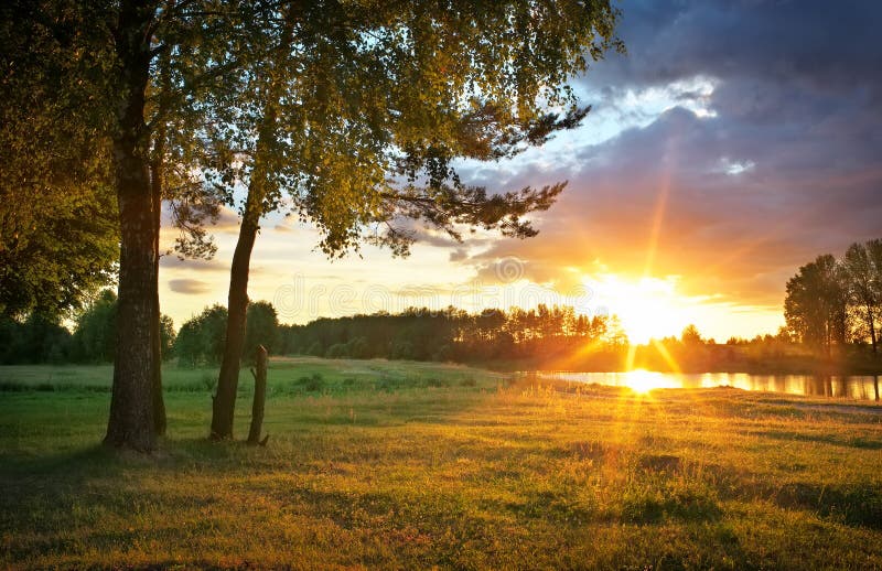 Beautiful Evening Sunny Landscape with Trees and River Stock Image ...