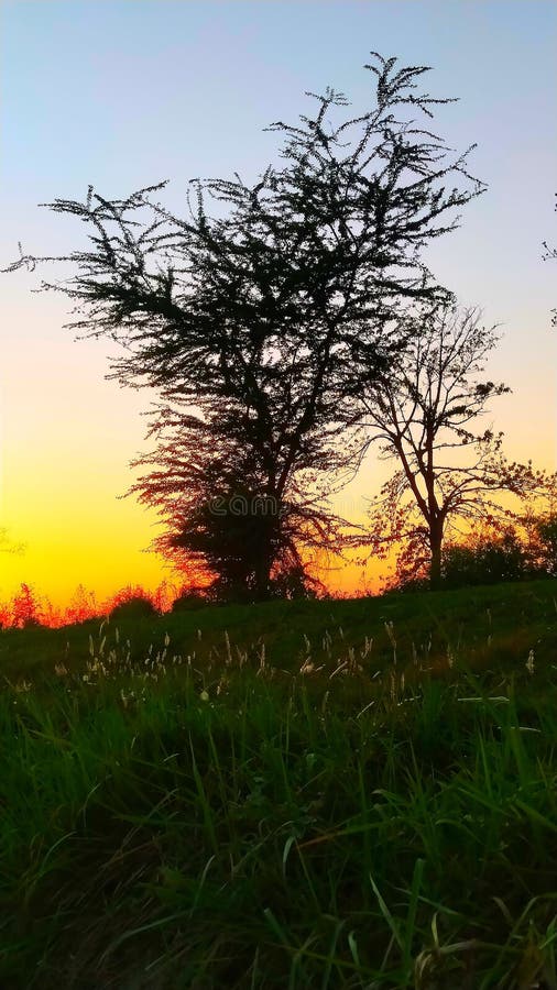 Beautiful Evening Sunset Pic Stock Image - Image of sirha, madar: 182543223