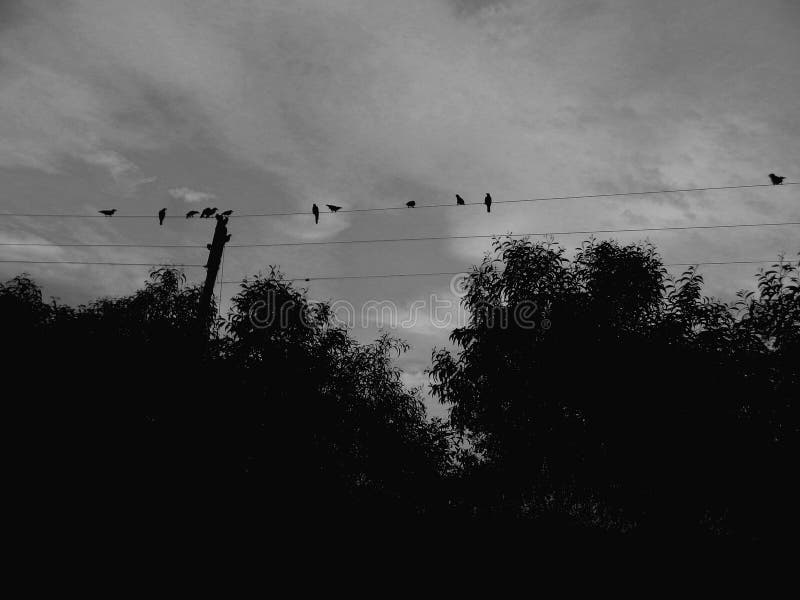 Beautiful Evening Time Black and White Picture. Stock Photo - Image of ...