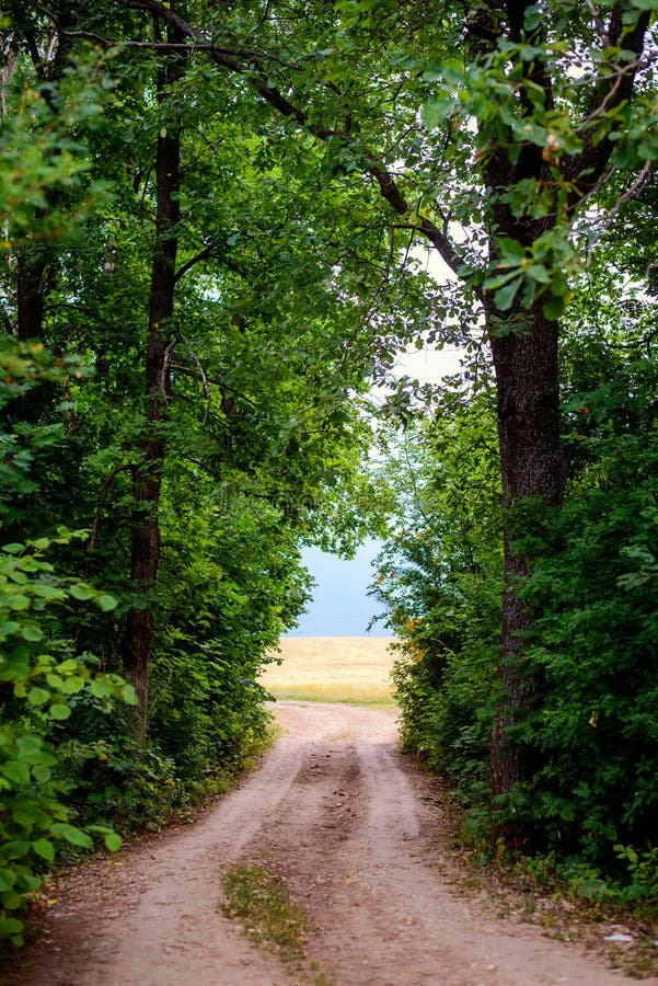 207 Forest Exit Meadow Stock Photos - Free & Royalty-Free Stock Photos ...