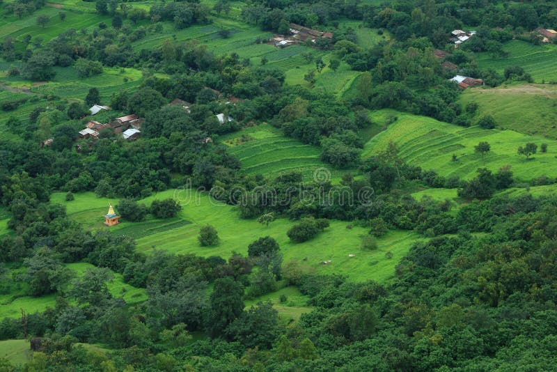 Exotic Green Scenery stock image. Image of trees, color - 963491
