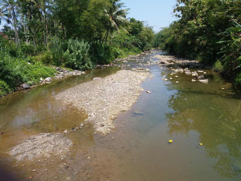 Beautiful and exotic river stock image. Image of jungle - 215708335