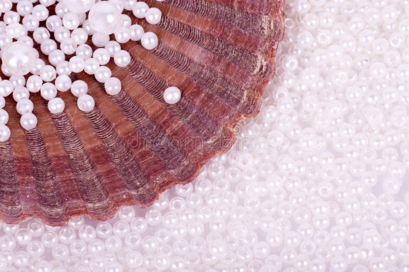 Exotic Shell and Stones, Pearls Stock Image - Image of discovery, conch ...