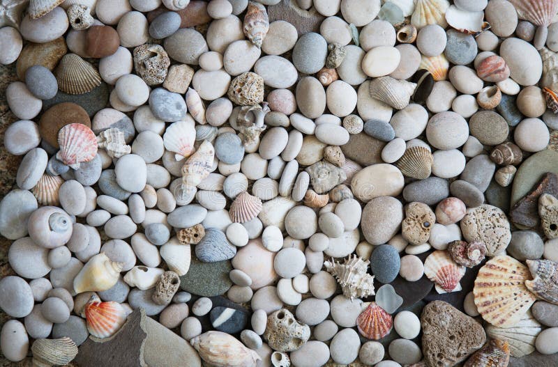 Exotic Shell and Stones, Pearls Stock Image - Image of crystal, detail ...