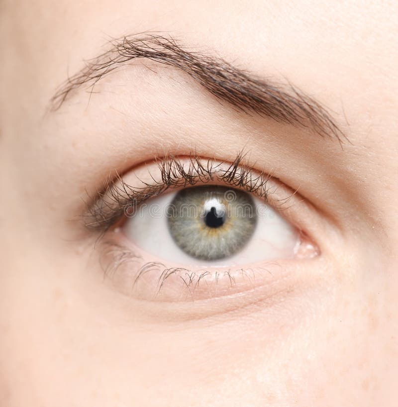 Beautiful eye stock image. Image of human, cornea, look - 26270213