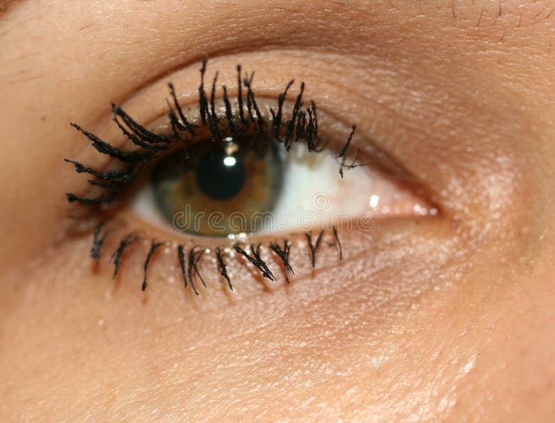 A Beautiful Eye with Long Thick Eyelashes. Macro. Stock Image - Image ...