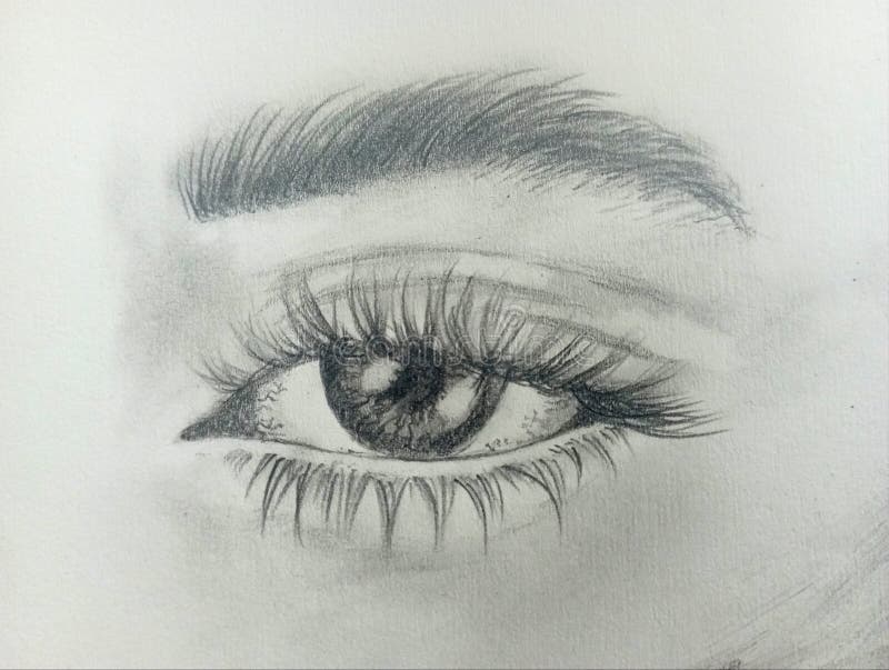 Beautiful eye sketch stock photo. Image of eyelash, beautiful - 262275590