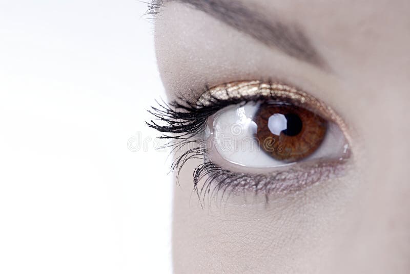Beautiful eyes stock image. Image of eyes, cornea, gold - 1550847