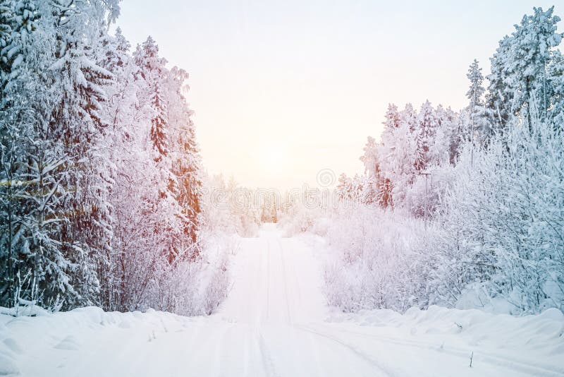 Beautiful Fabulous Winter Landscape, the Road Going through the Forest ...