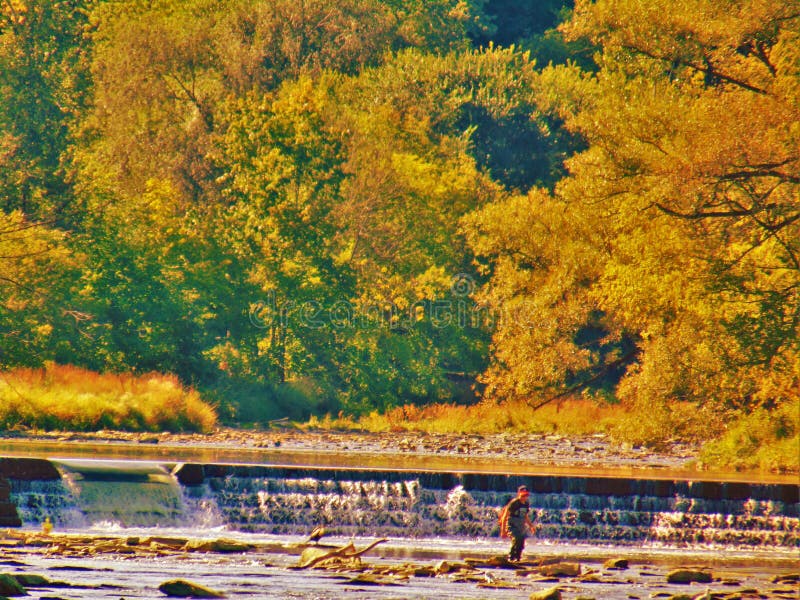 Beautiful fall stock photo. Image of calm, beautiful - 84833588