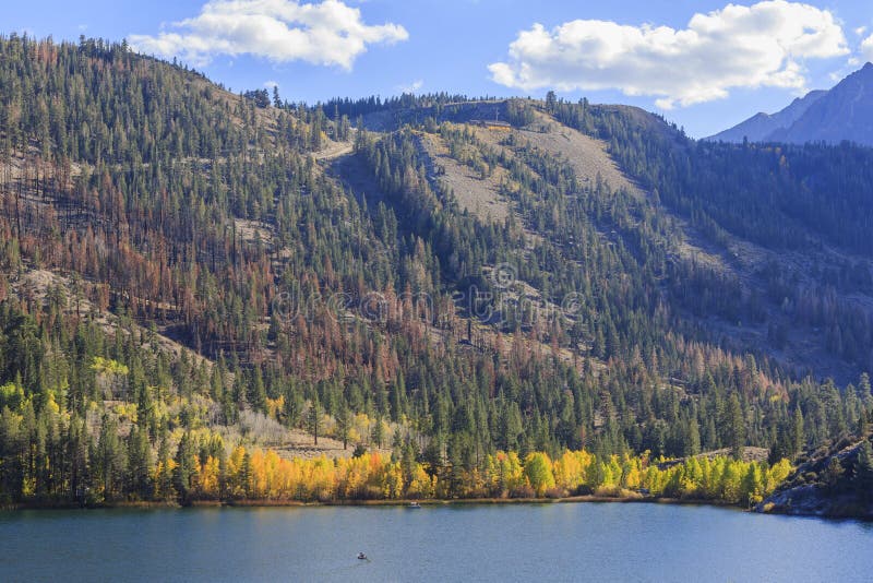 Beautiful Fall Color in California Stock Image - Image of relax, autumn ...