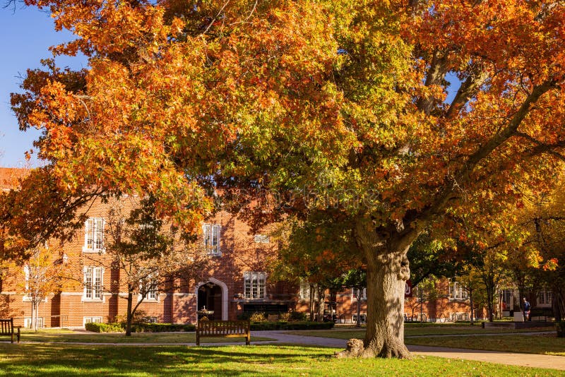 Beautiful Fall Color View of the Campus of Univeristy of Oklahoma ...