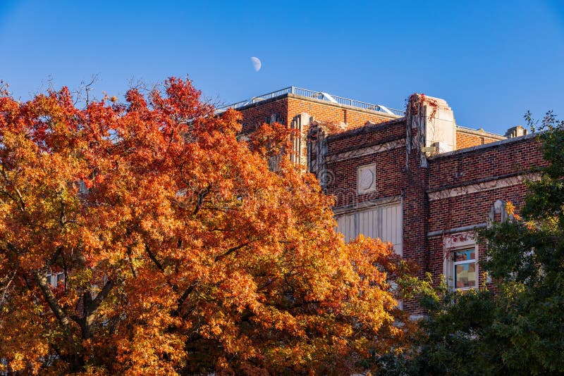 Beautiful Fall Color View of the Campus of Univeristy of Oklahoma ...