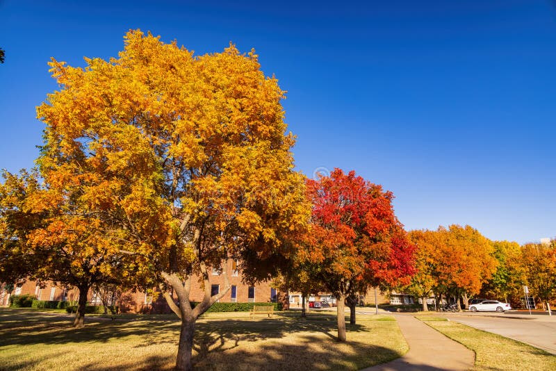 Beautiful Fall Color View of the Campus of Univeristy of Oklahoma ...