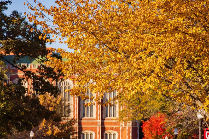 Beautiful Fall Color View of the Campus of Univeristy of Oklahoma ...
