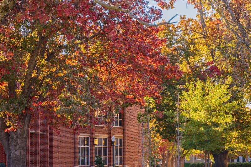 Beautiful Fall Color View of the Campus of Univeristy of Oklahoma ...