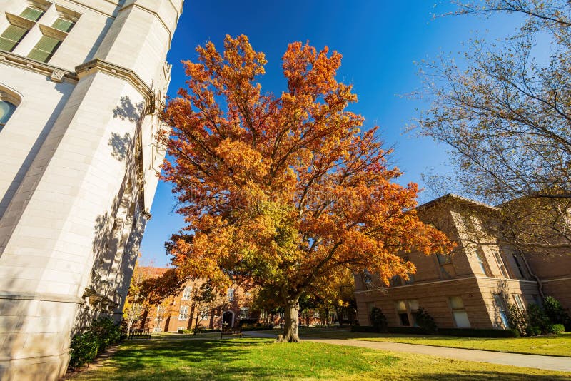 Beautiful Fall Color View of the Campus of Univeristy of Oklahoma Stock ...
