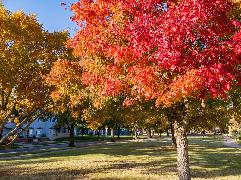 Beautiful Fall Color View of the Campus of Univeristy of Oklahoma Stock ...