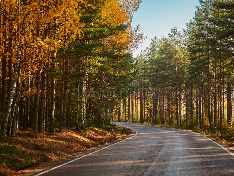 Beautiful Fall Colors by the Autumn Road in Finland. Stock Photo ...