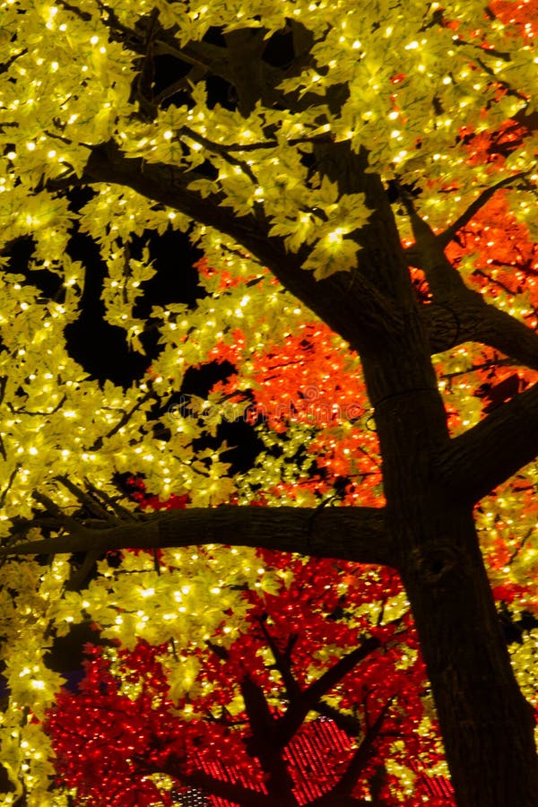 The Beautiful Fall Colors Created Artificially - Modern Light Show ...