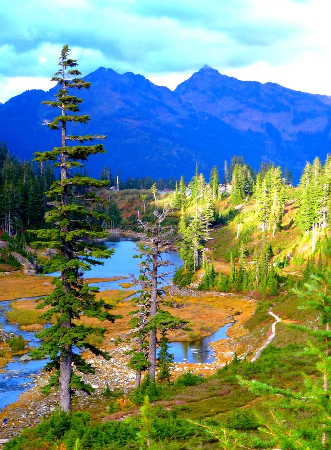 Beautiful Fall Colors in Mt Baker 5 Stock Photo - Image of panorama ...