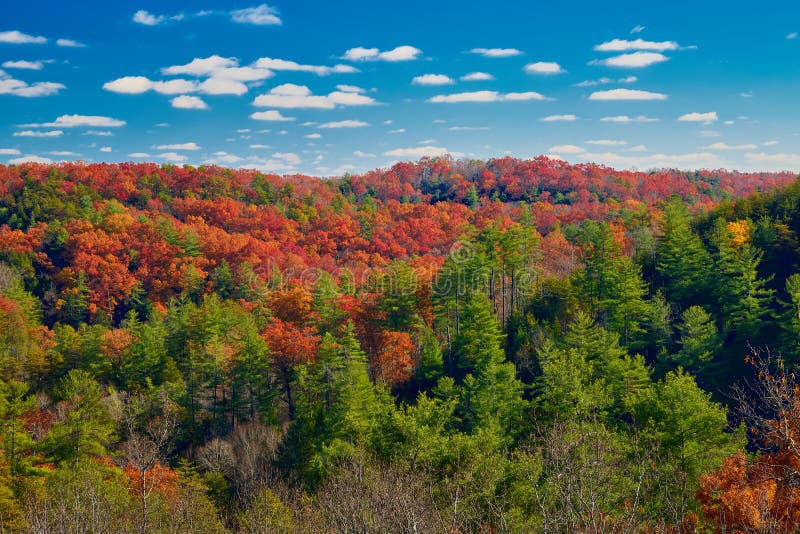 Beautiful Fall Colors at Red River Gorge, KY Stock Photo - Image of ...