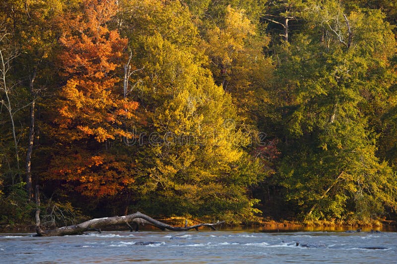 Beautiful Fall Colors Trees Stock Photo - Image of nature, river: 32412870