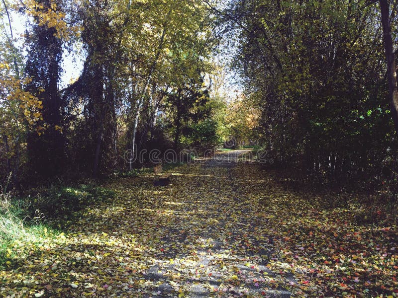 Beautiful fall day! stock photo. Image of fall, autumn - 79603656