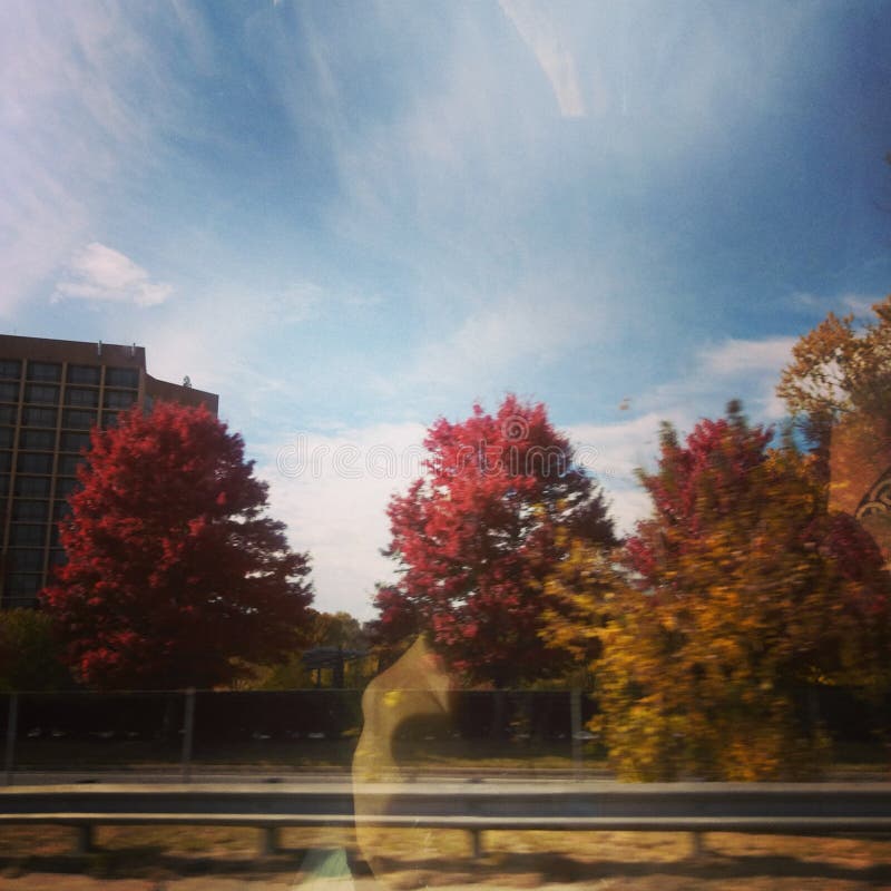 Beautiful fall day stock photo. Image of tree, daytime - 81304062