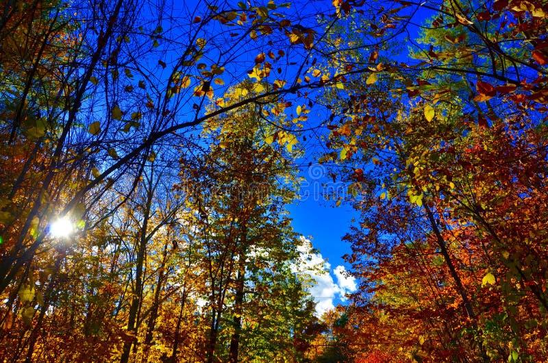 Beautiful fall day in NH stock image. Image of colors - 79168517