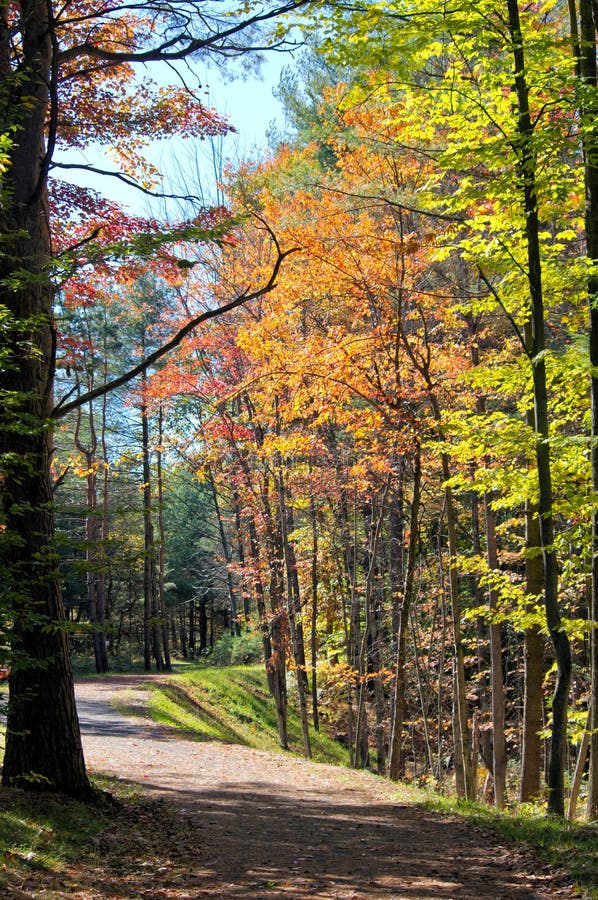 Beautiful Fall day stock photo. Image of path, trees - 45571526