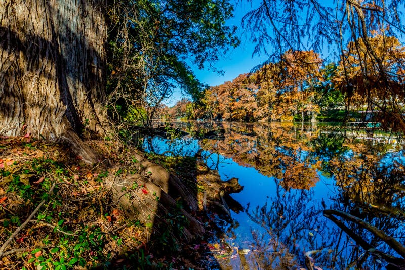 Beautiful Fall Foliage on the Guadalupe River, Texas. Stock Image ...