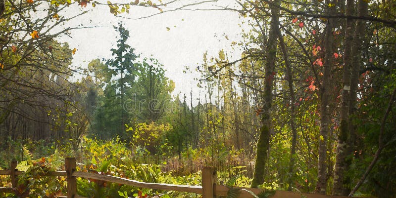 Beautiful Fall Landscape of a Clearing in a Forest Stock Photo - Image ...