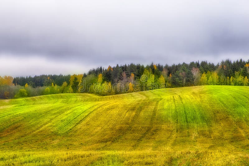 Beautiful Fall Landscape with Wavy Colorful Fields Under Rainy Grey ...