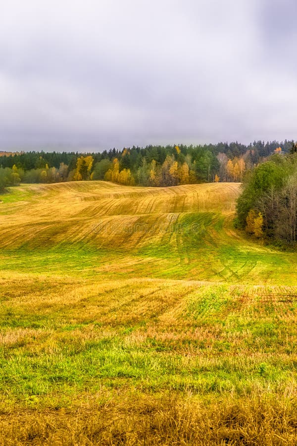 Beautiful Fall Landscape with Wavy Colorful Fields Under Rainy Grey ...