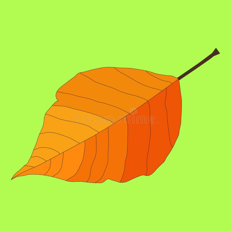 A Beautiful Fall Leaf Illustration Vector Art Design Stock Vector ...