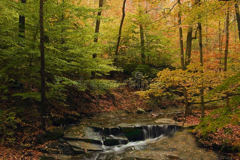 Beautiful Fall Scene with Steam and Fall Foliage Stock Photo - Image of ...
