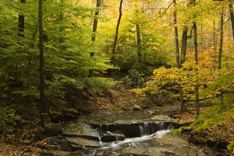Beautiful Fall Scene with Steam and Fall Foliage Stock Image - Image of ...