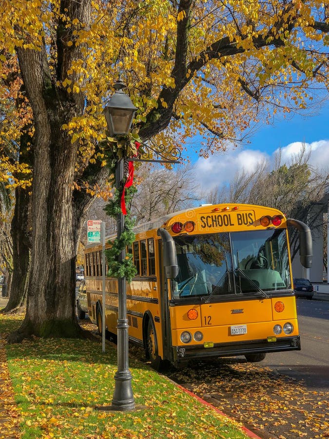 Beautiful Fall Setting with Trees and Leaves Editorial Photography ...