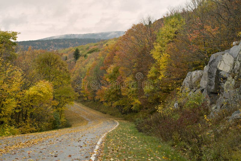 Beautiful Fall Virginia Road Stock Image - Image of plants, autumn: 9708383